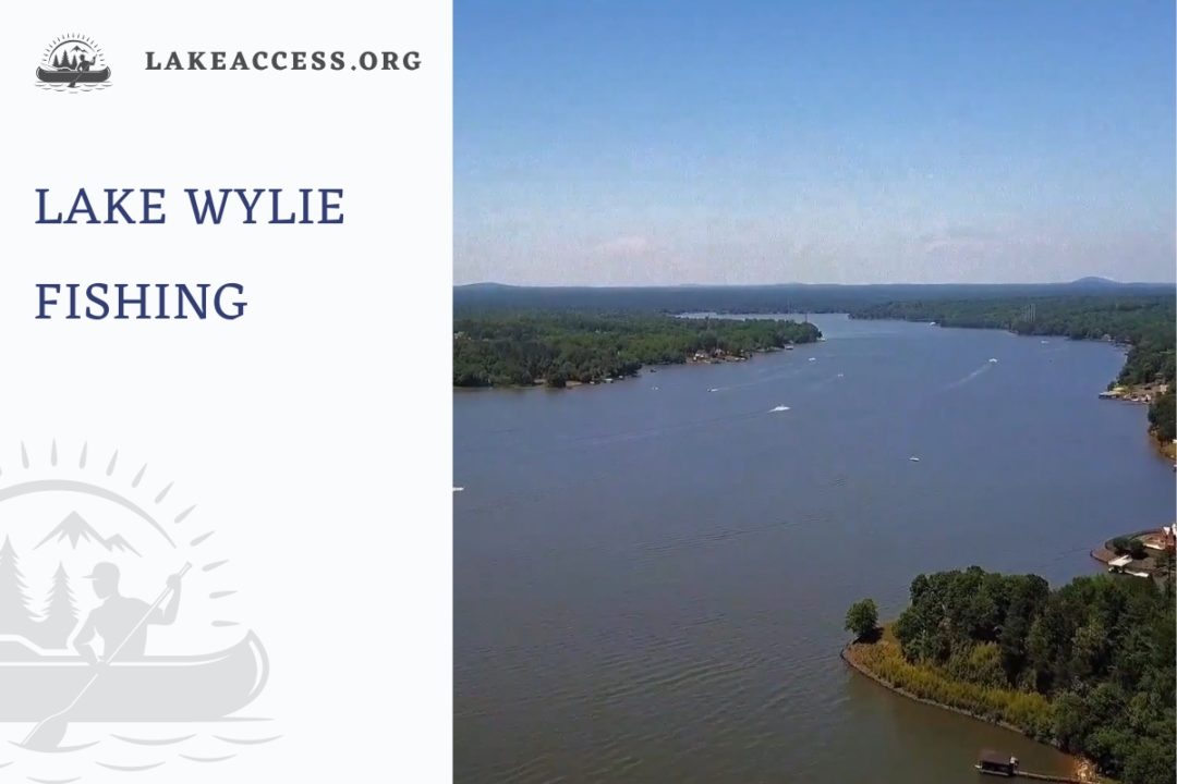 Lake Wylie Fishing: Best Spots, Species & More - Lake Access
