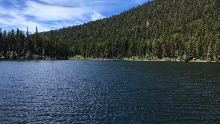 The Best Trout Fishing Lake in Washington State - Lake Access