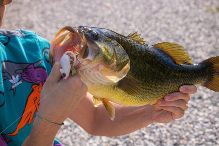 Poway Lake Fishing: Tips, Tricks, License, and More - Lake Access