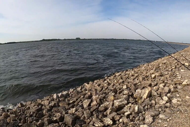 15 Best Fishing Lakes in Illinois (Latest 2023) - Lake Access