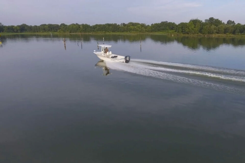 Most Alligator-Infested Lakes in North Texas: What You Need to Know ...